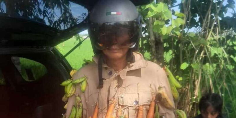 Bali: UNIQUE ACTIVITY OF FEEDING MONKEYS - FAQ