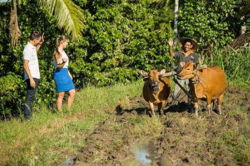 Bali: Village Cultural Tour with Cooking Class - A Closer Look at the Experience