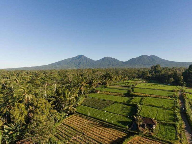 Bali: Village Cultural Tour with Cooking Class - What Travelers Say