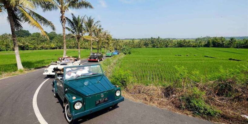 Bali: Vintage VW Jeep Countryside Safari - Key Points