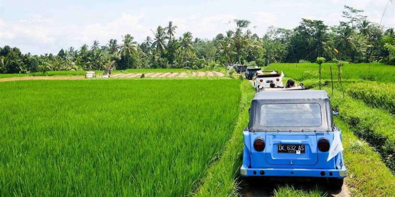 Bali: Vintage VW Jeep Countryside Safari - The Iconic Tanah Lot Temple