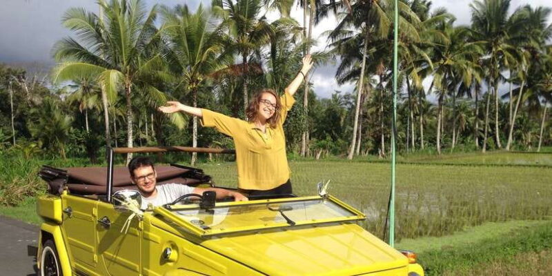 Bali: Vintage VW Jeep Countryside Safari - Pejaten Village: Artisans at Work