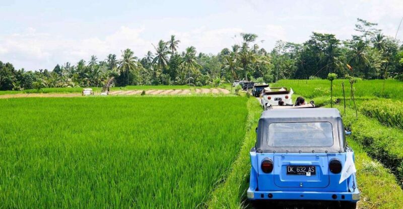 Bali: Vintage VW Jeep Countryside Safari - Traditional Balinese Lunch in a Local Home