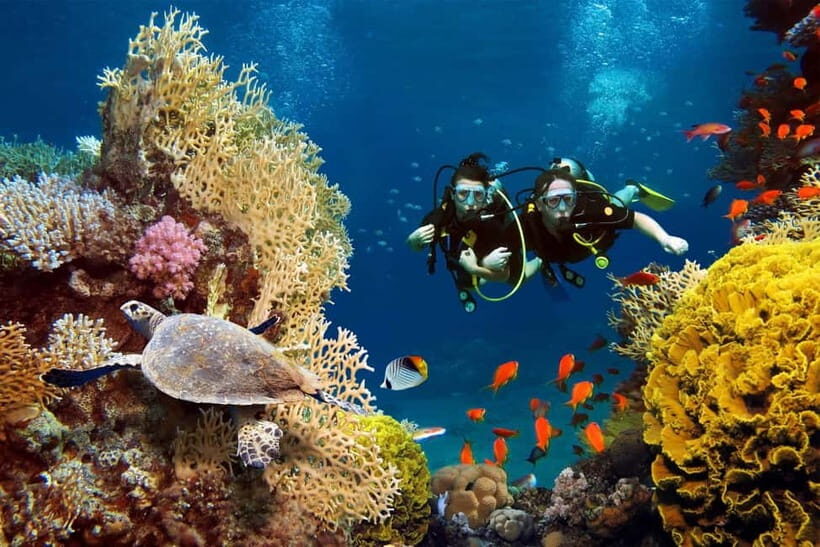Bali Vip: Sea Walker Under Water Experience - An Honest Look at the Sea Walker Experience in Bali