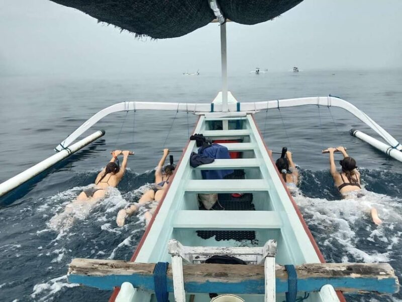 Bali: Watching Dolphin, Swimming & Snorkeling Tour - Who Will Love This Tour?