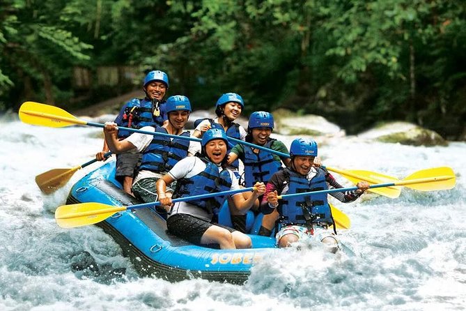 Bali Water Rafting with Lunch & Private Transfer - What’s the Experience Like?