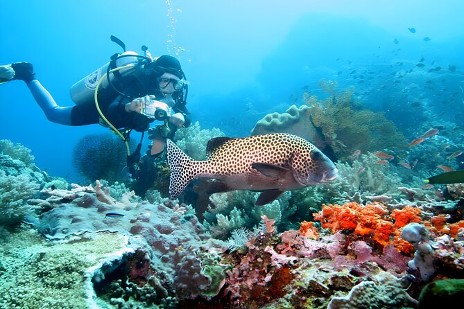 Bali Water Sport Jumbo Packages - The Value: Is It Worth It?