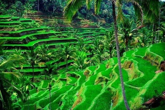 Bali Water Sports and Tanah Lot Temple Sunset Private Tour - FAQs