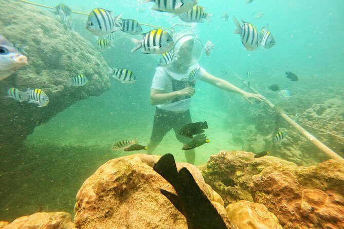 Bali Water Sports Packages - What Can You Expect During the Tour?