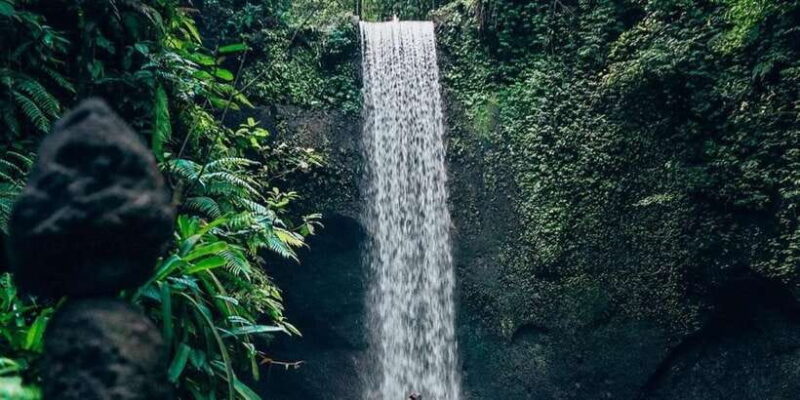 Bali: Waterfall and Rice Terrace Private Day Trip - Why This Tour Works for Travelers