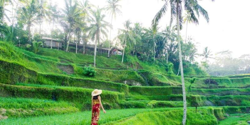 Bali: Waterfall and Rice Terrace Private Day Trip - Pricing and Value