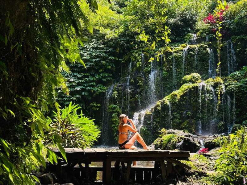 Bali: Waterfall in the forest & twin lake view tour - Additional Notes