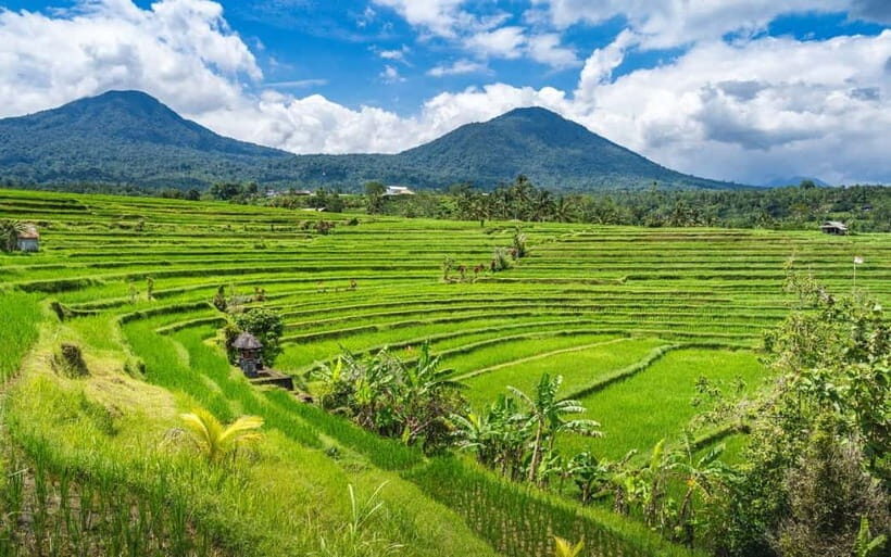 Bali: Waterfall, Rice Terraces, Temples and Sun-Set Day Tour - Key Points