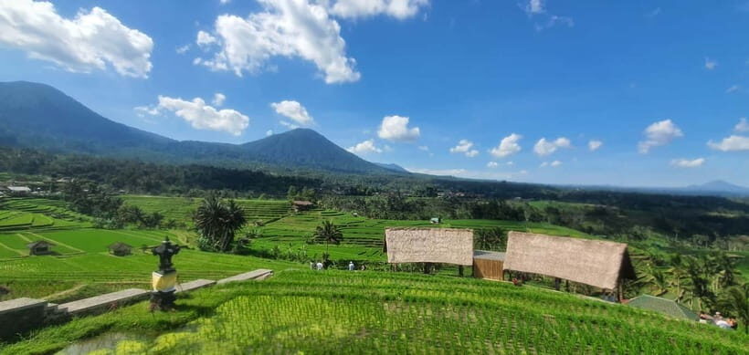 Bali: Waterfall, Rice Terraces, Temples and Sun-Set Day Tour - Who Should Consider This Tour?