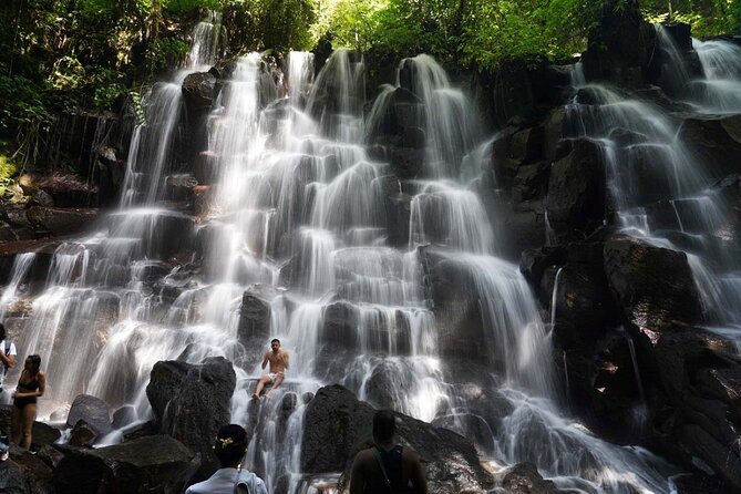 Bali: Waterfall Tour and Ubud Monkey Forest Private Day Trip - Who Would Love This Tour?
