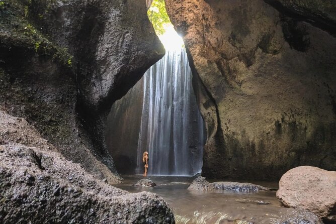 Bali: Waterfall Tour and Ubud Monkey Forest Private Day Trip - The Sum Up