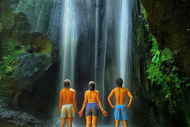 Bali: Waterfall Tour and Ubud Monkey Forest Private Day Trip - FAQ