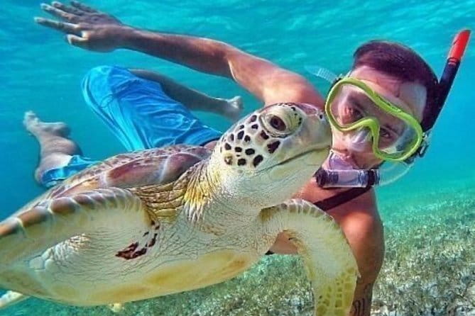 Bali Waterfall Wonders | A Nature Escape | All Inclusive - The Sum Up