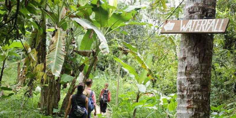 Bali waterfalls quest, discover 4 waterfalls in 1 day - Who Should Consider This Tour?