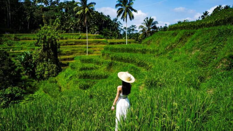 Bali : Waterfalls, Rice Terrace & Swing With Photographer - Key Points