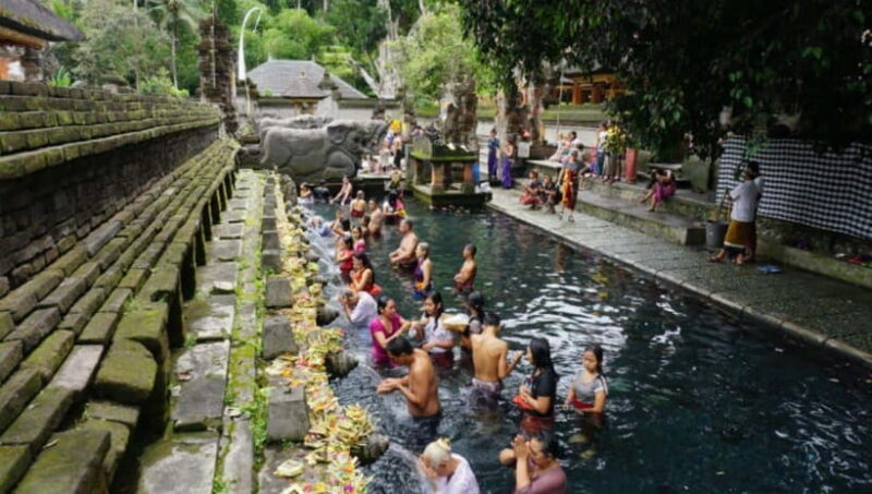 Bali: Waterfalls, Temples, and Rice Terraces Tour - What Travelers Can Expect