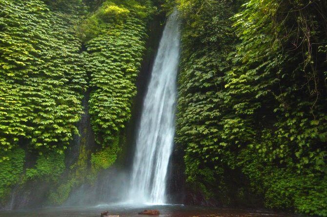 Bali Waterfalls Tour - One Day Private Tour - Why Choose the Bali Waterfalls Tour?