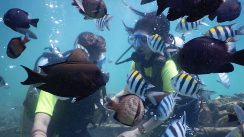 Bali: Watersport Scuba Diving Jetski Dunut Boat Exclusive - Practical Details and Tips