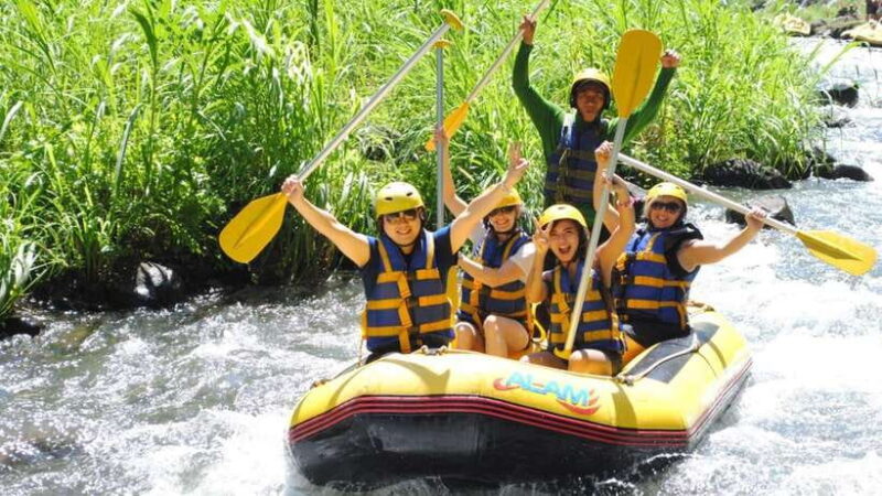 Bali: White Water Rafting and ATV Adventure with Lunch - Who Would Love This?