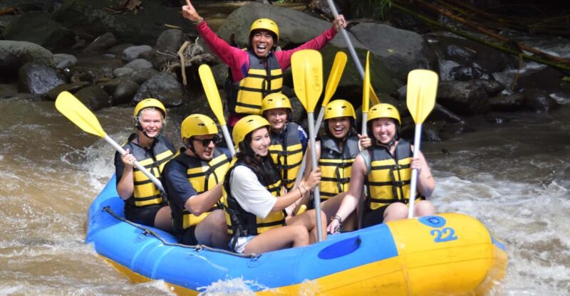 Bali : White Water Rafting & Jungle Swing - All inclusive - Key Points