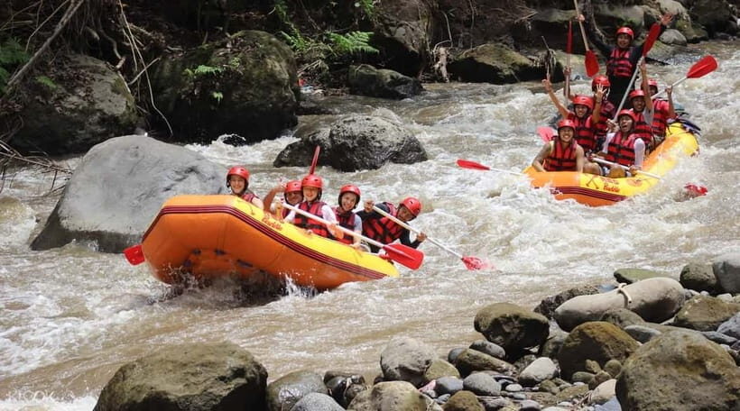 Bali: White Water Rafting, Lunch and Private Pickup - Key Points