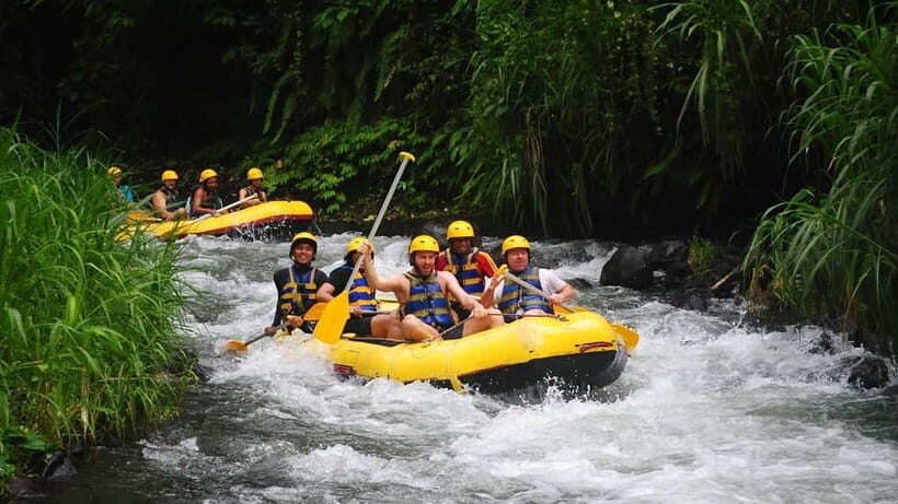 Bali: White Water Rafting, Lunch and Private Pickup - What Makes This Tour Stand Out?