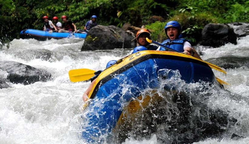 Bali: White Water Rafting, Lunch and Private Pickup - Who Will Enjoy This?