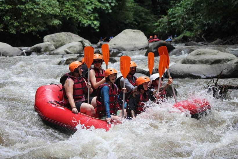 Bali: White Water Rafting, Lunch and Private Pickup - The Sum Up