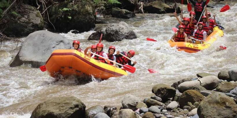 Bali: White Water Rafting Lunch & Private Transfer Included - The Value of the Experience