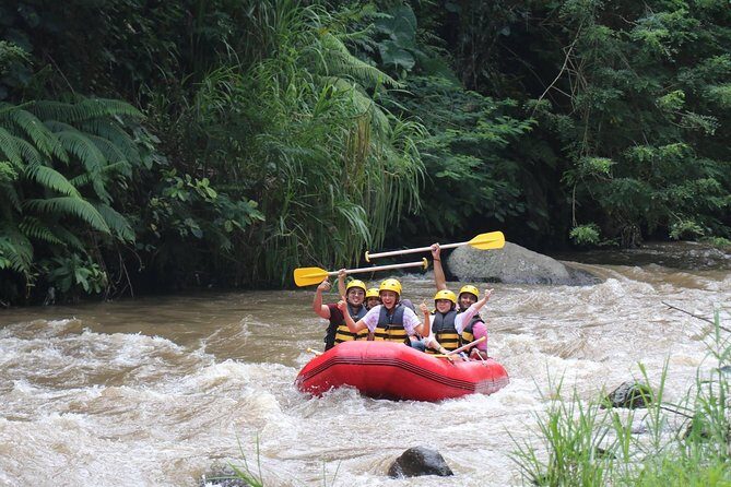 Bali White Water Rafting - Surya Bintang - What You Can Expect from Bali White Water Rafting with Surya Bintang
