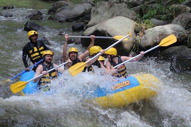 Bali White Water Rafting - Surya Bintang - The River and Its Scenic Highlights