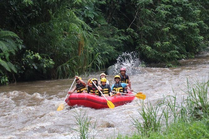 Bali White Water Rafting - Surya Bintang - Who Will Love This Tour?