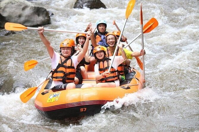 Bali White Water Rafting with Lunch and Private Transfer - What to Expect from Your Bali White Water Rafting Tour
