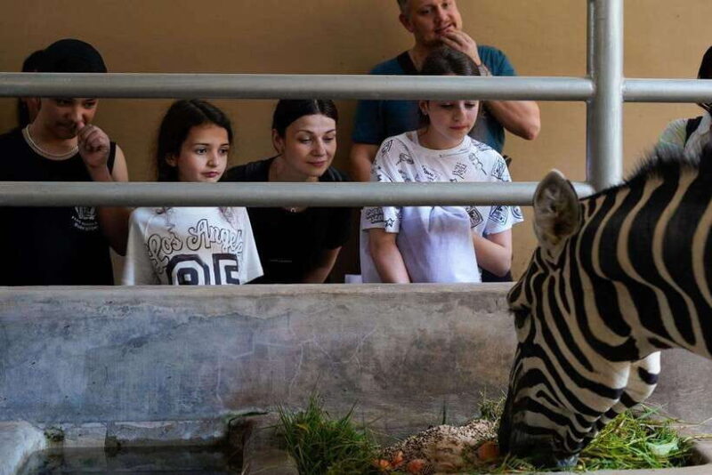Bali Zoo: Behind Closed Doors Afternoon Safari Guided Tour - Key Points