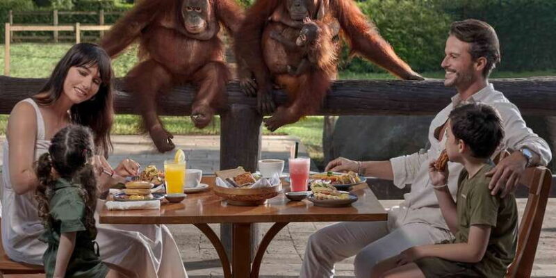 Bali Zoo: Breakfast with the Orangutans - Key Points