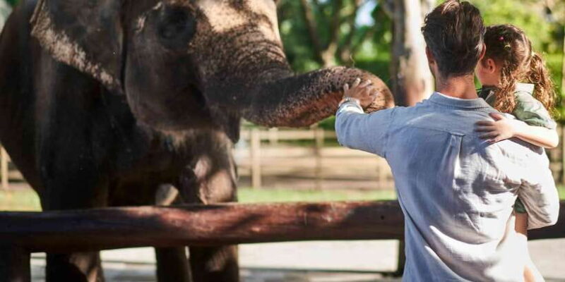 Bali Zoo: Breakfast with the Orangutans - The Itinerary in Detail