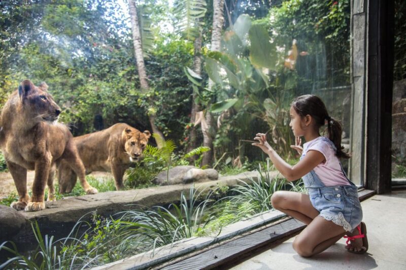 Bali Zoo Entrance Ticket - The Core Experience: General Entrance and Animal Encounters