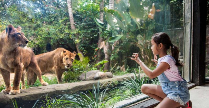 Bali Zoo Entrance Ticket - FAQs