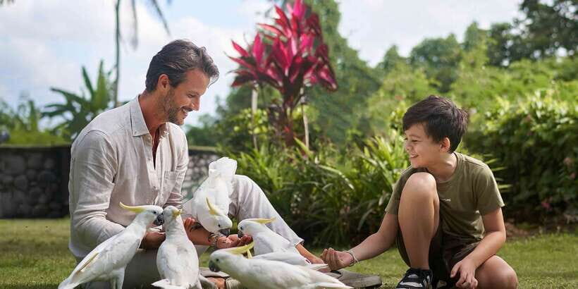 Bali Zoo: Guided Breakfast With Observing Orangutans - Key Points