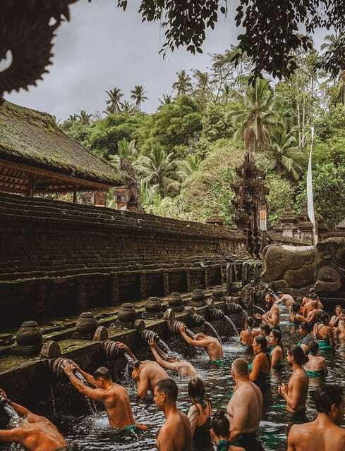 Bali:Highlight Nature Tour Penglipuran, Tirta Empul & Lunch - Final Thoughts