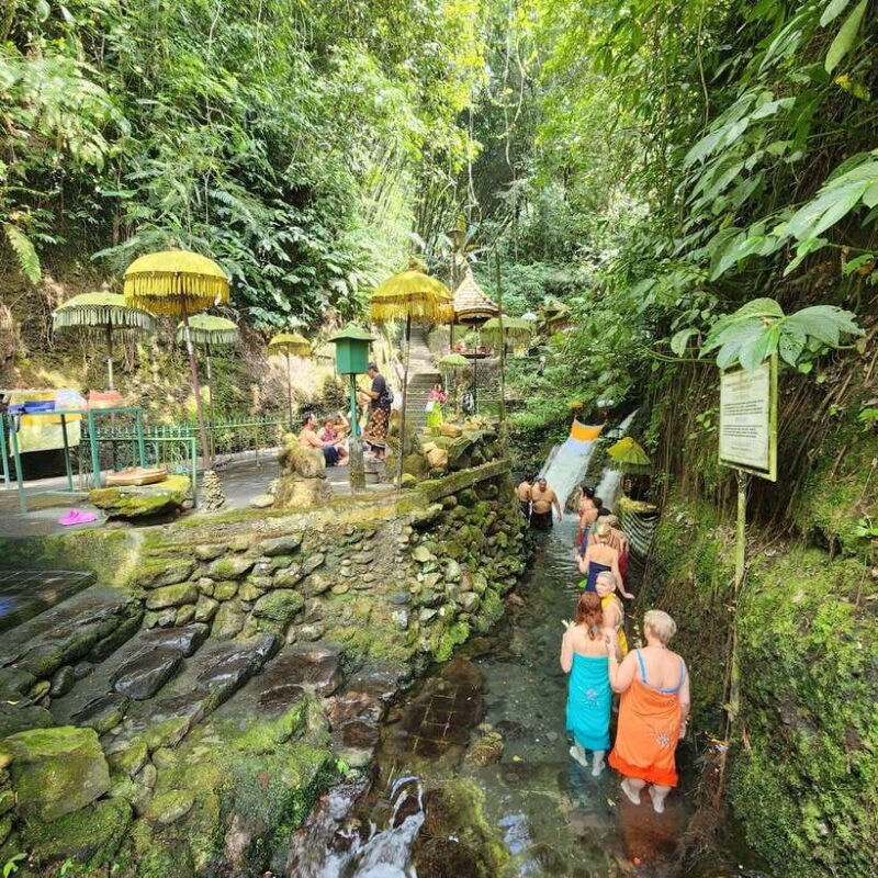 Balinese Purification at holy water temple with Local - Why This Tour Offers Real Value