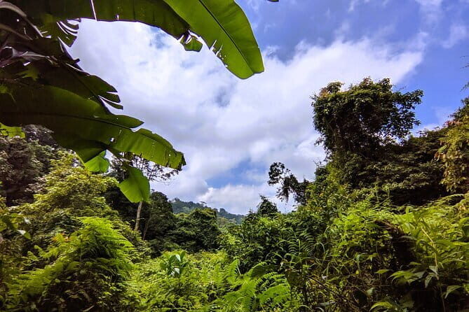 Balis Mystical Jungle Trek & Hidden Waterfall Adventure - Practical Details and What They Mean for You