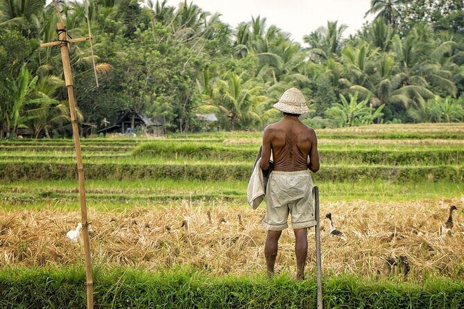 Balis Spiritual and Natural Heartlands - A Journey into Bali’s Heart: An Honest Review