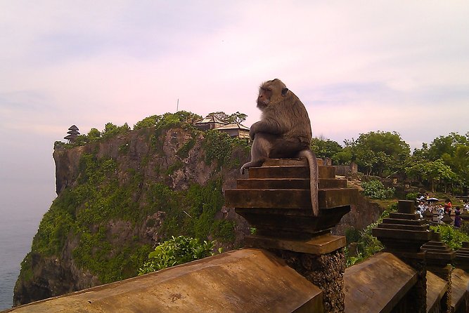 Bali's Spiritual Pillars - Uluwatu Temple and Kecak Dance Tour - Who Will Love This Tour?