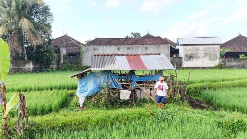 Bali:Sidemen tour guide - Setting the Scene: What to Expect from the Tour